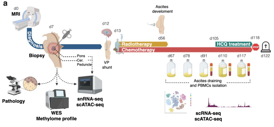 Reprogramming of pro-tumor macrophages by hydroxychloroquine in an ...