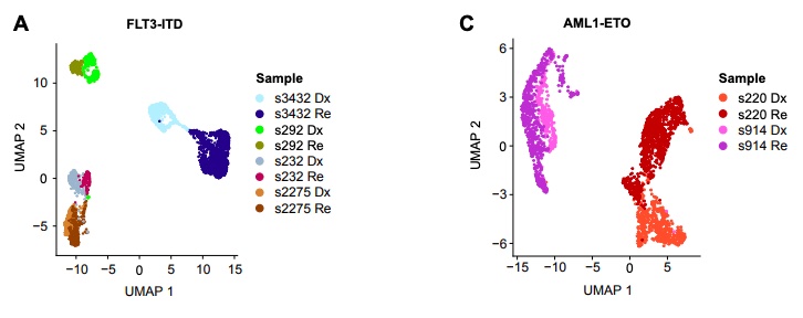 Longitudinal single-cell transcriptomics reveals distinct patterns of ...